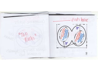 Cell Cycle And Microscope Notes | PPT