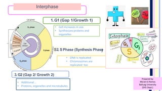 Cell Cycle and Mitosis-1.pptx