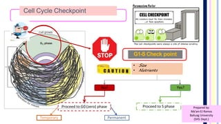 Cell Cycle and Mitosis-1.pptx