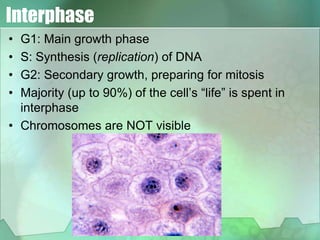 Cell cycle and mitosis | PPTX