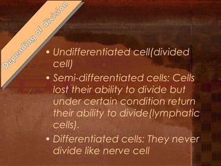 Cell cycle and mitosis | PPT