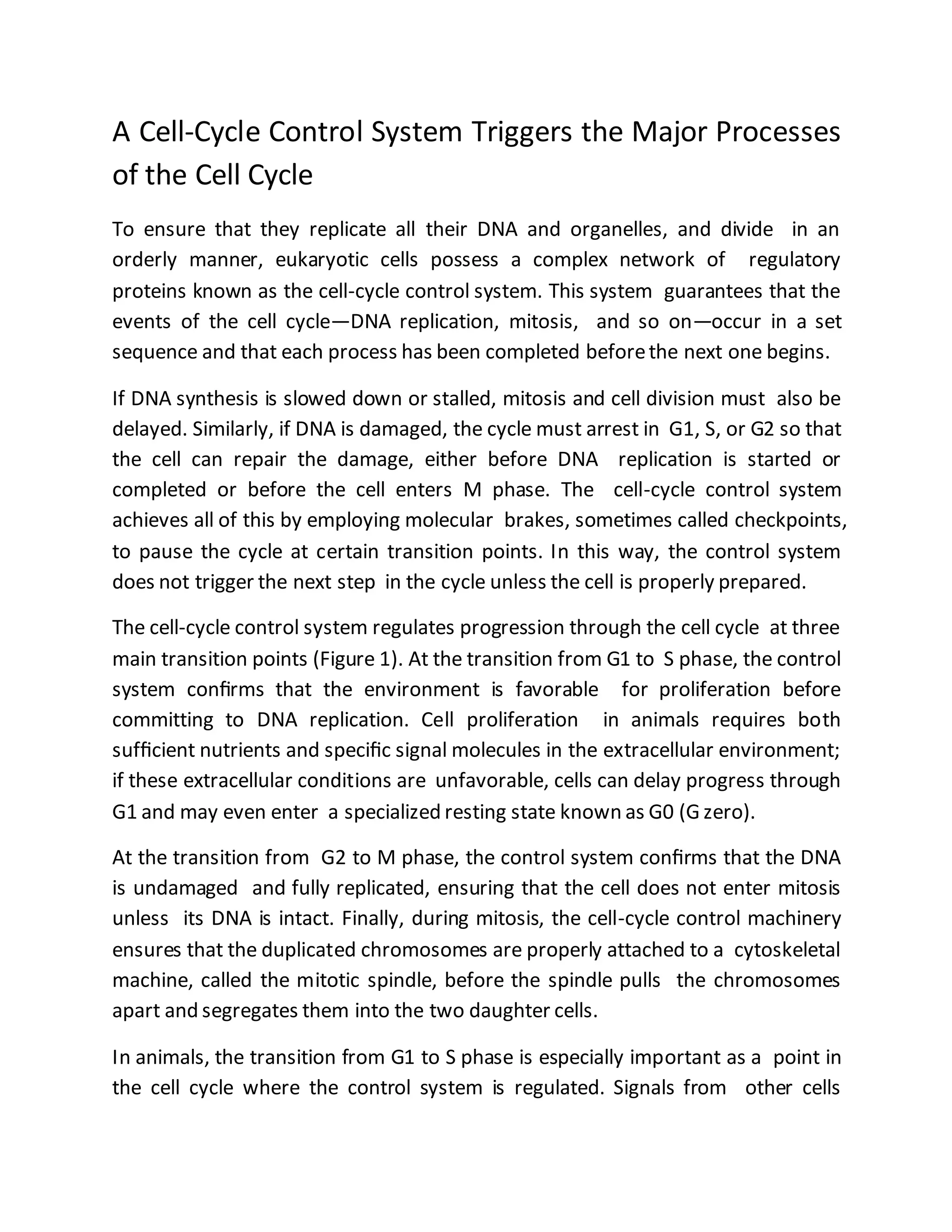 Cell cycle and mitosis | DOCX