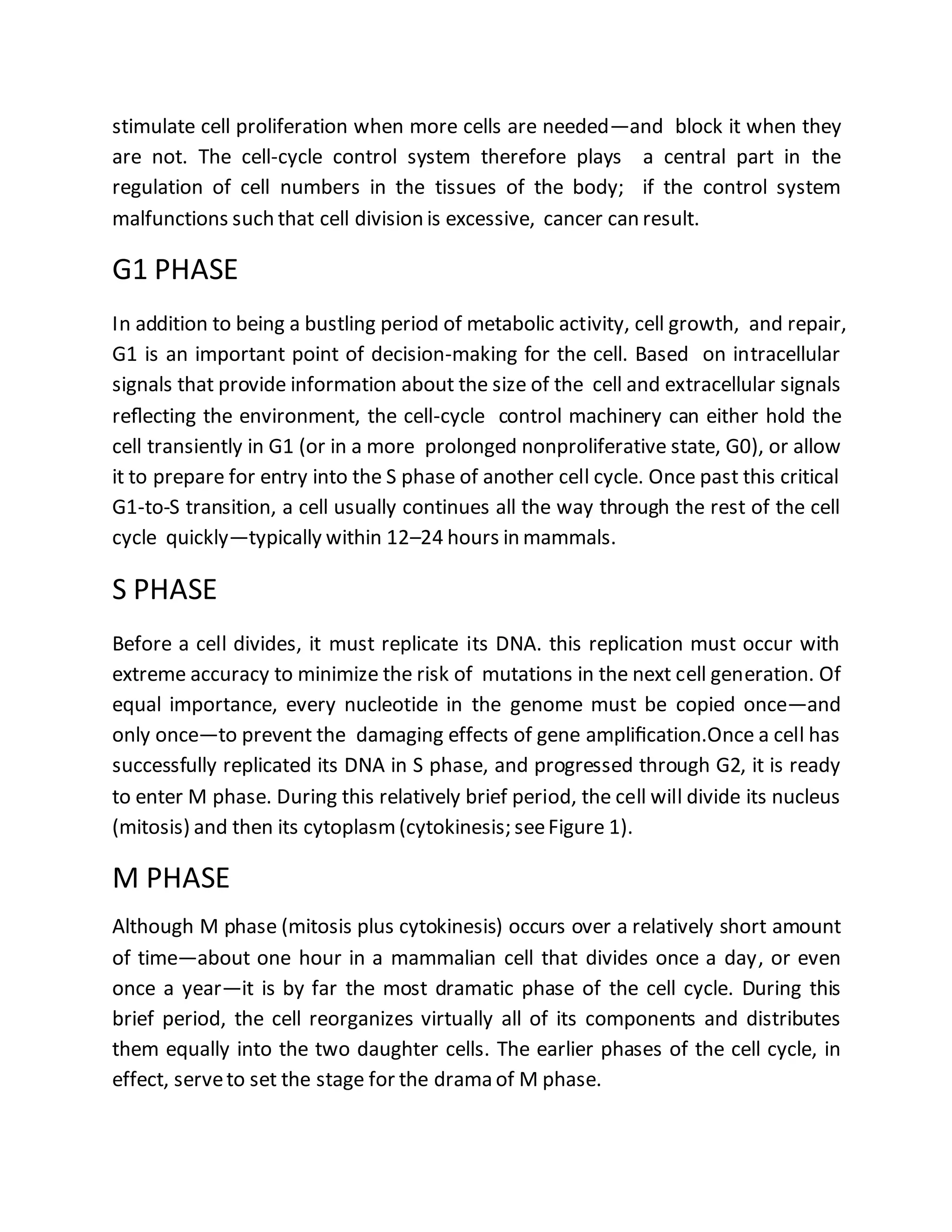Cell cycle and mitosis | DOCX