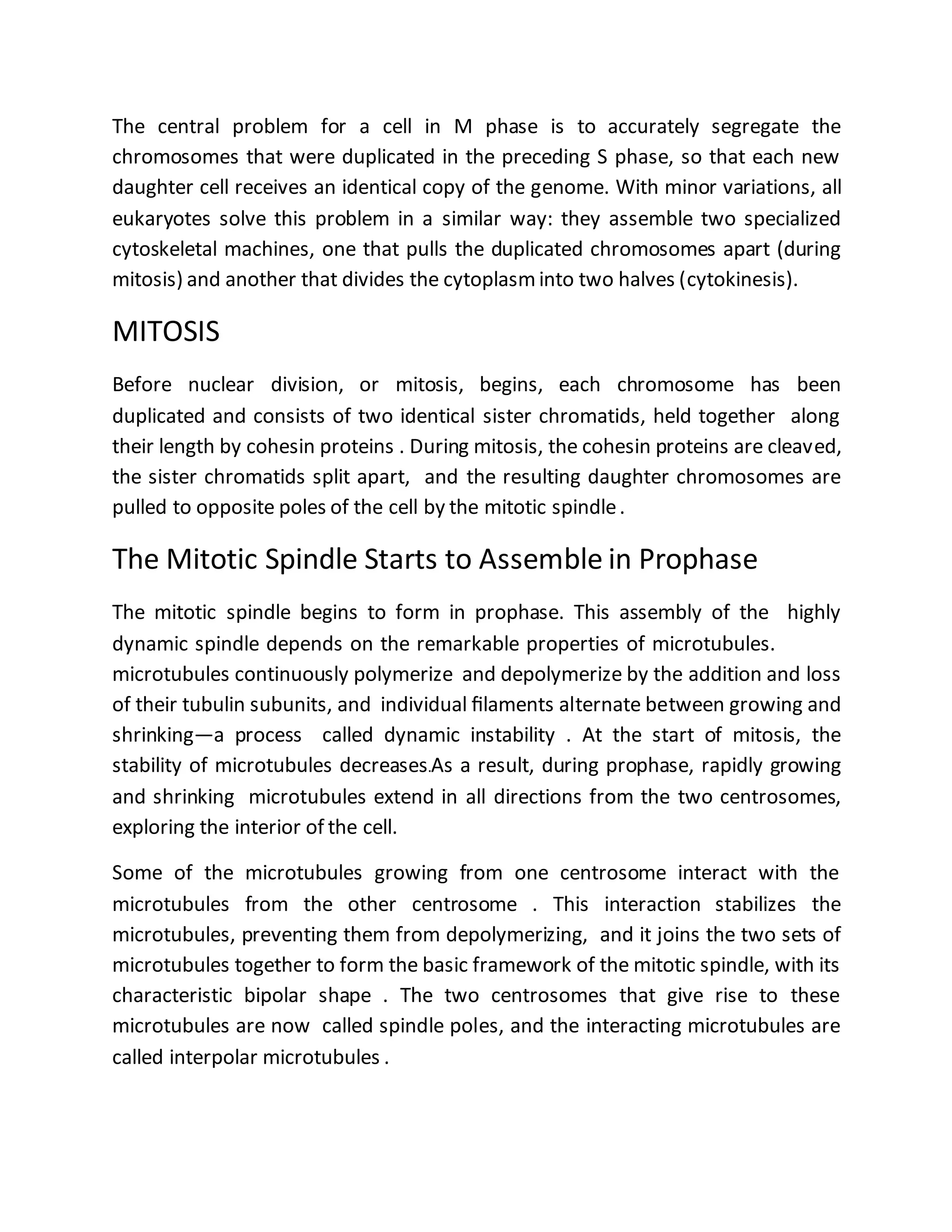 Cell cycle and mitosis | DOCX