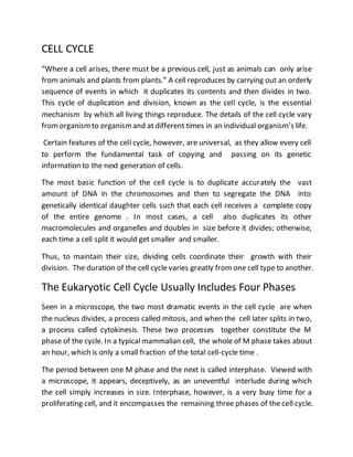 Cell cycle and mitosis | DOCX