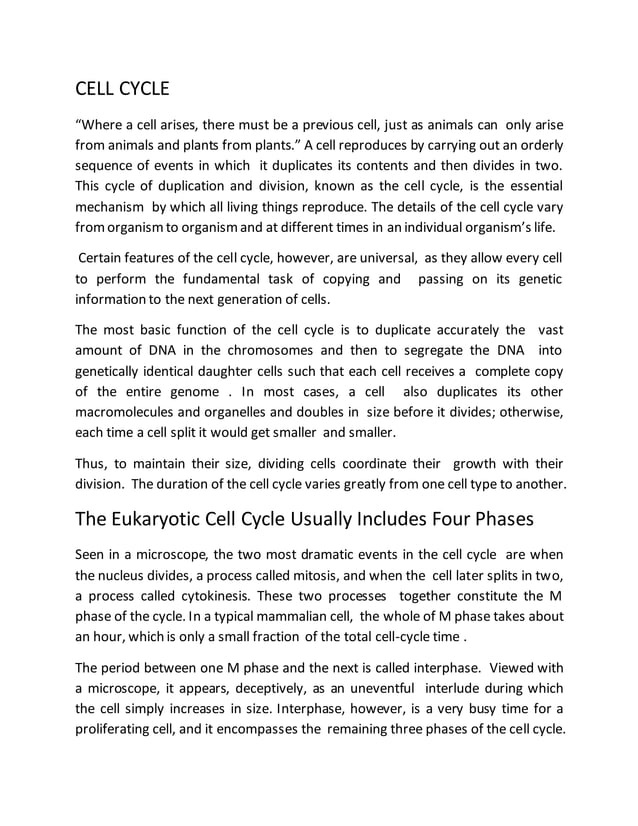 Cell cycle and mitosis | DOCX