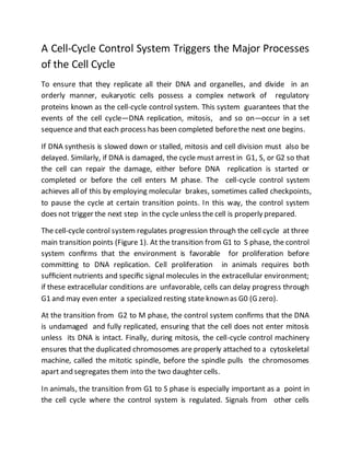 Cell cycle and mitosis | DOCX