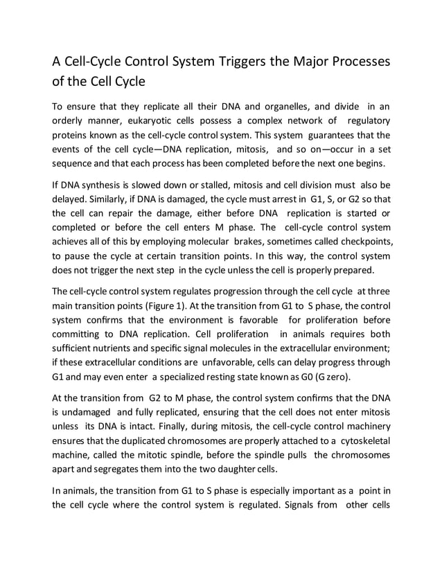 Cell cycle and mitosis | DOCX