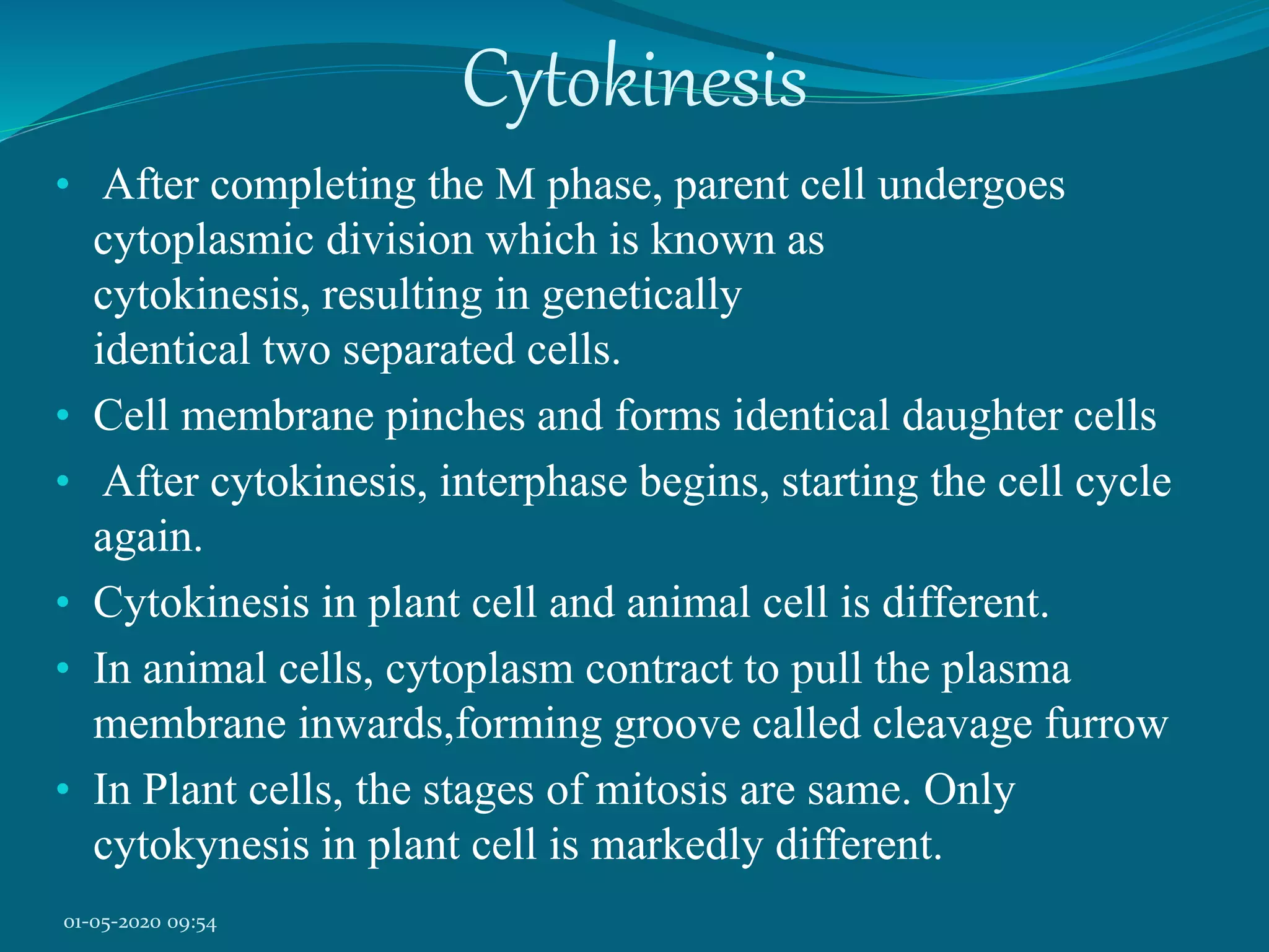 Cell cycle and mitosis | PPTX