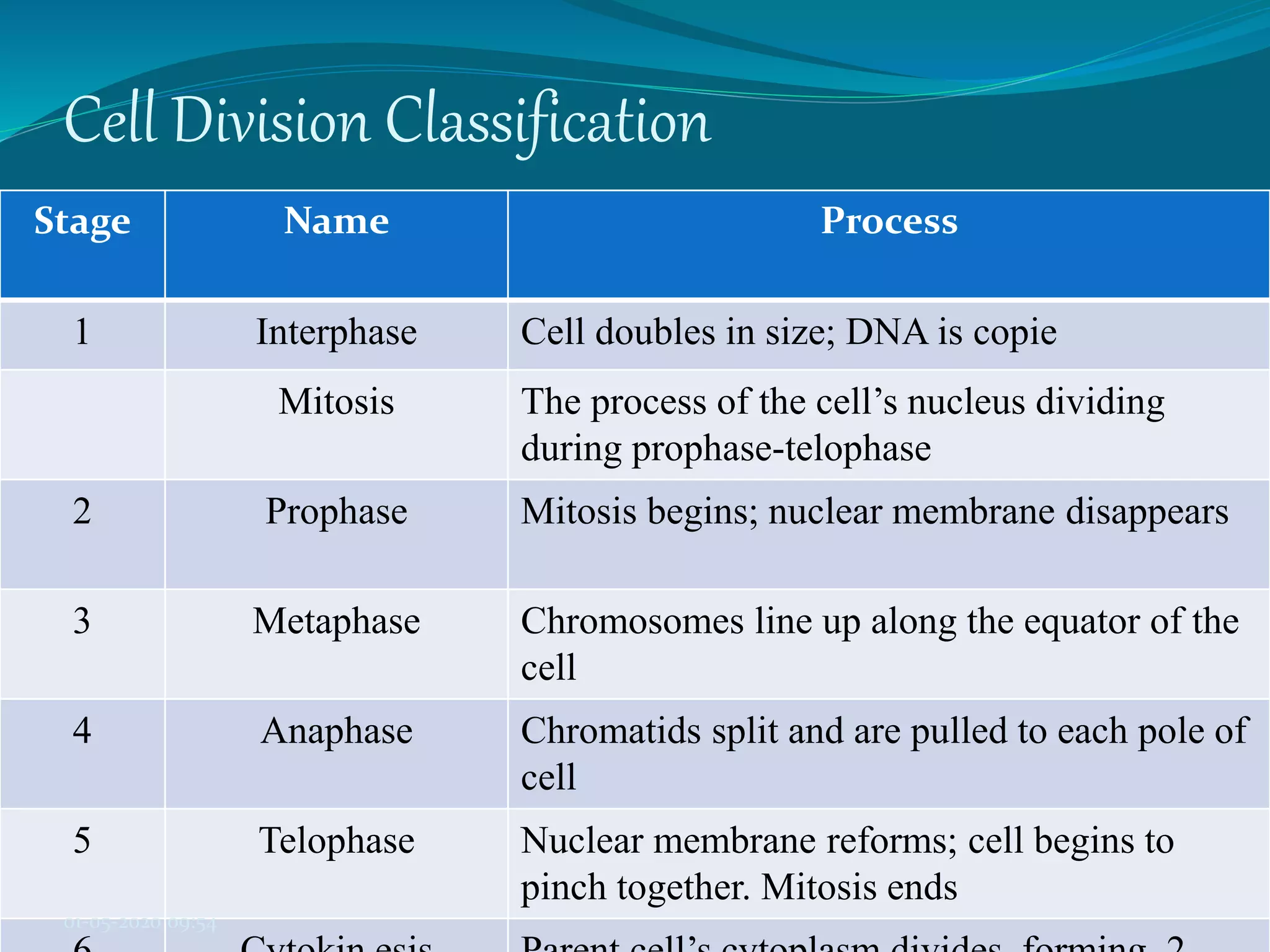 Cell cycle and mitosis | PPTX