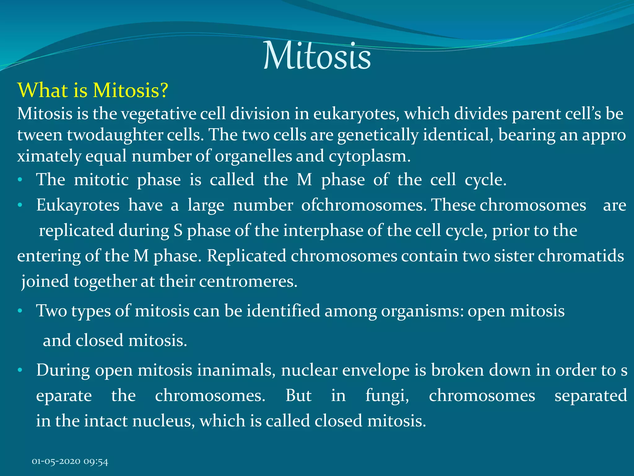 Cell cycle and mitosis | PPT