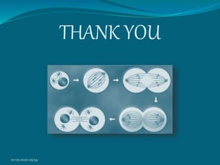 Cell cycle and mitosis | PPT