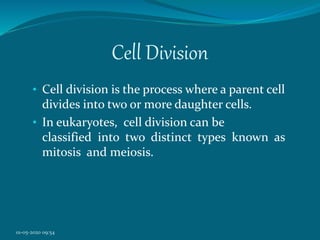 Cell cycle and mitosis | PPTX