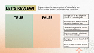 CELL CYCLE AND MITOSIS.pptx GRADE 7 CELL CYCLE | PPTX