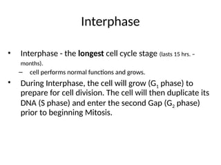 Cell Cycle and Mitosis PPT for Grade 11 2025 | PPTX