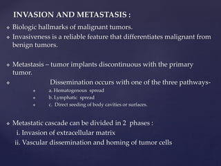Cell cycle and molecular basis of cancer. | PPTX