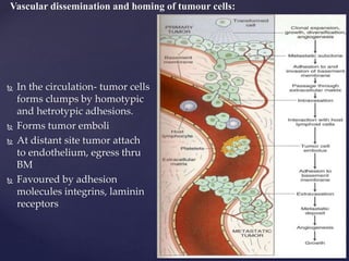 Cell cycle and molecular basis of cancer. | PPTX