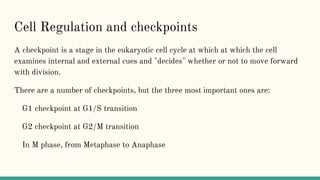 Cell cycle and regulation | PPTX | Biological Sciences | Science