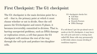Cell cycle and regulation | PPTX | Biological Sciences | Science