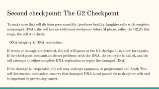 Cell cycle and regulation | PPTX | Biological Sciences | Science