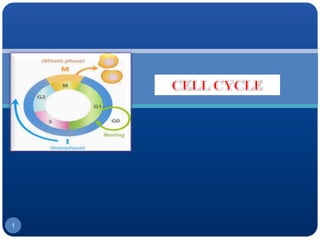 Cell cycle and regulation | PPTX