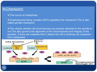 Cell cycle and regulation | PPTX