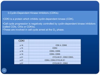 Cell cycle and regulation | PPTX