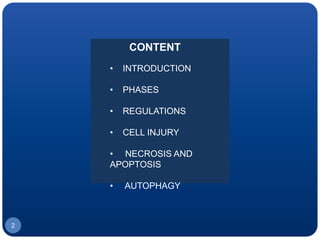 Cell cycle and regulation | PPTX