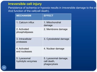 Cell cycle and regulation | PPTX