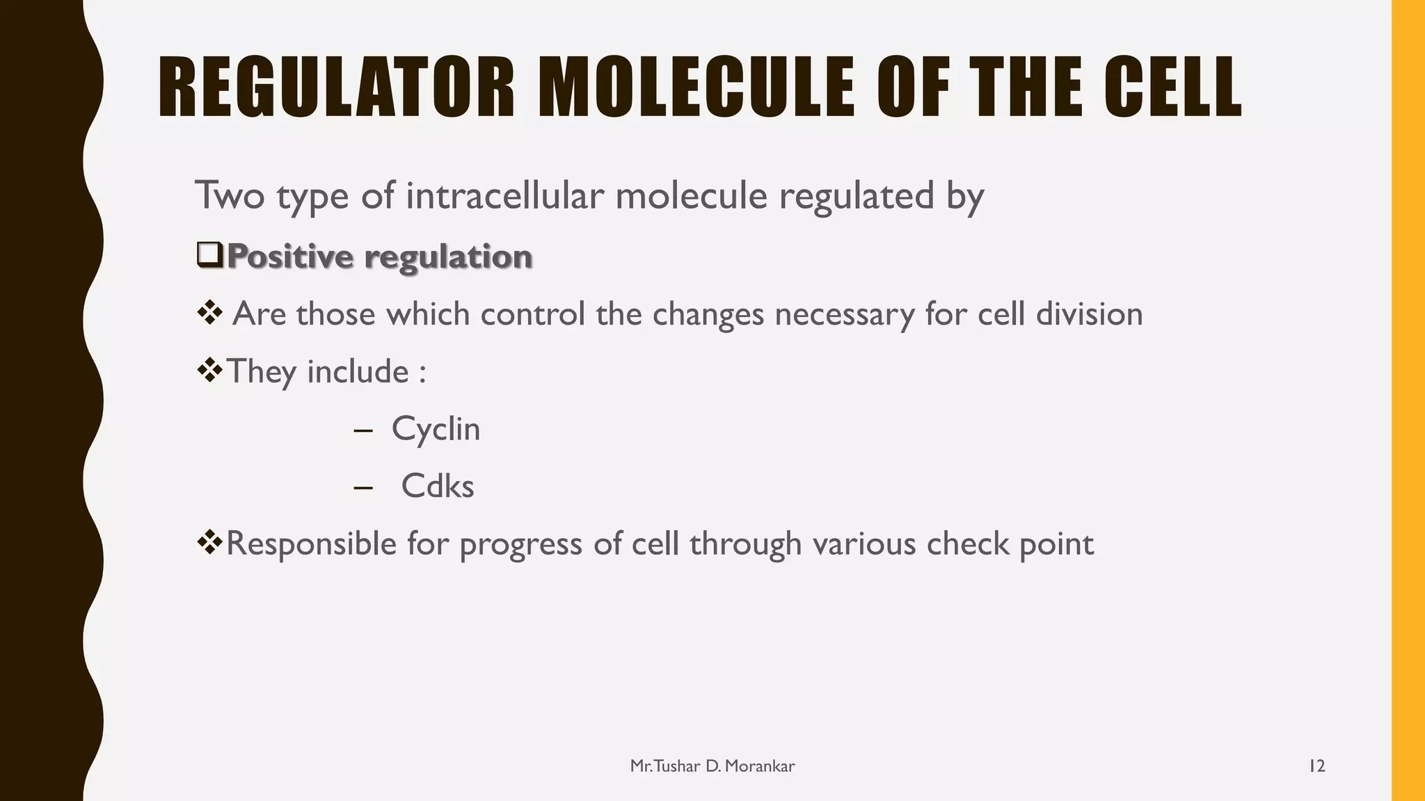 Cell cycle and regulation | PDF
