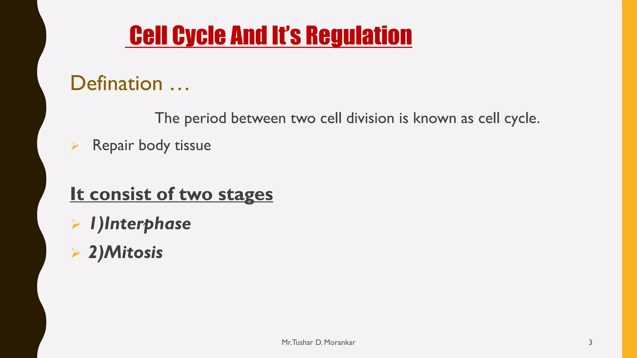Cell cycle and regulation | PDF