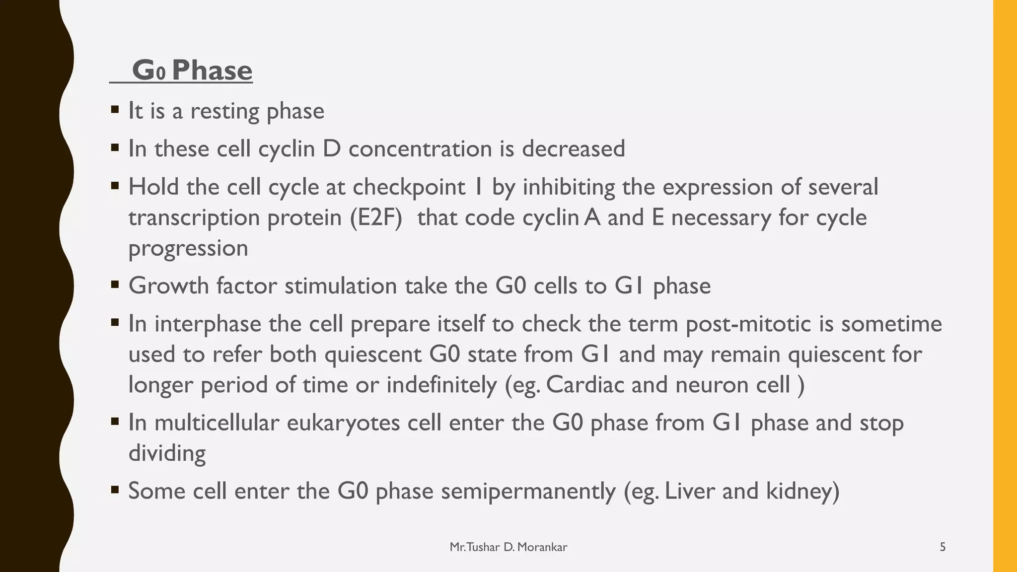 Cell cycle and regulation | PDF