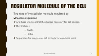 Cell cycle and regulation | PDF