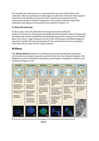 cell cycle and regulation introduction, phases, importants | PDF
