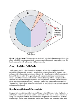 cell cycle and regulation introduction, phases, importants | PDF