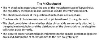 Cell cycle and regulation mitosis and meiosis and regulation | PPTX