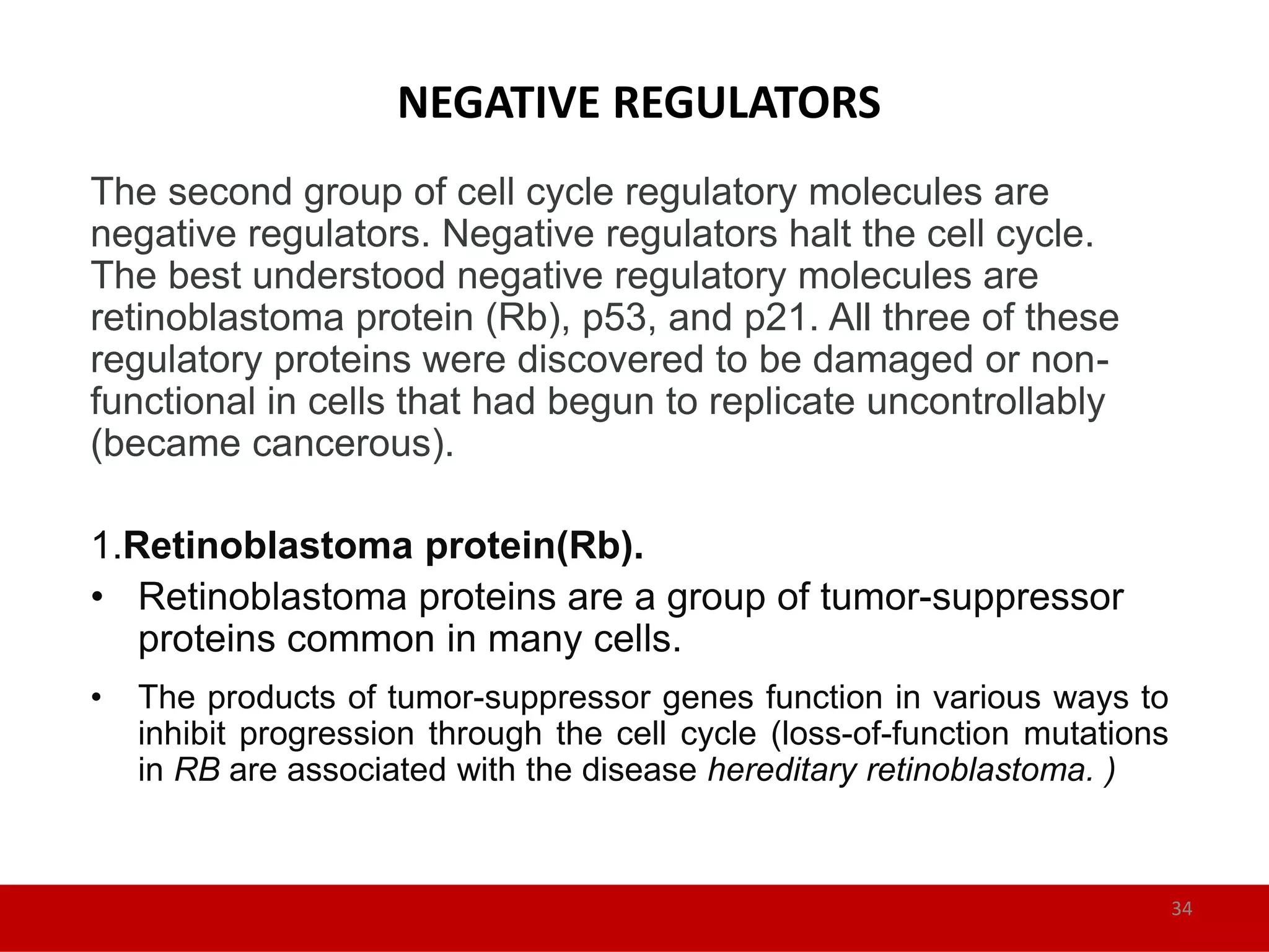 Cell cycle and regulation in eukaryotes | PPTX
