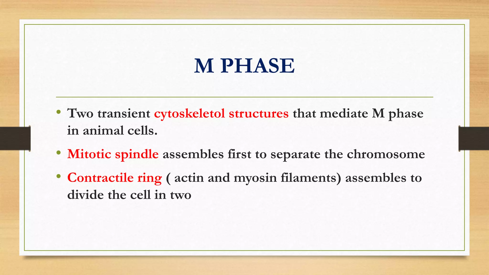 CELL CYCLE , MITOSIS ,MEIOSIS AND CELL REGULATION | PPTX