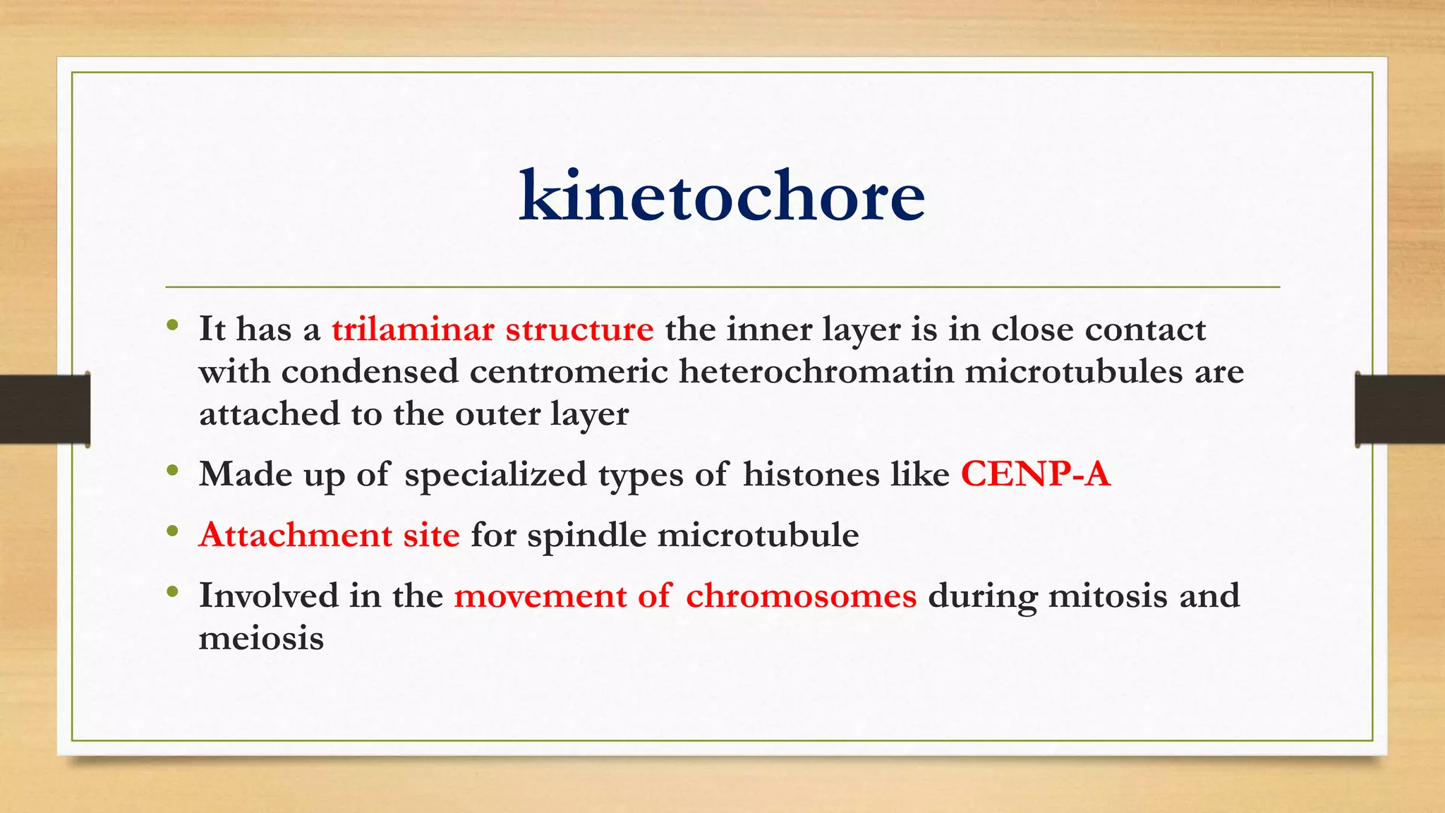 CELL CYCLE , MITOSIS ,MEIOSIS AND CELL REGULATION | PPTX