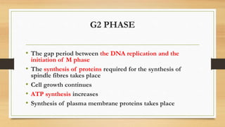 CELL CYCLE , MITOSIS ,MEIOSIS AND CELL REGULATION | PPTX