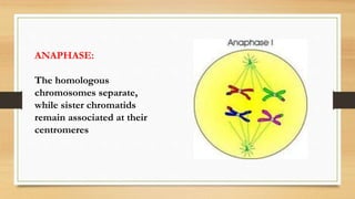 CELL CYCLE , MITOSIS ,MEIOSIS AND CELL REGULATION | PPTX