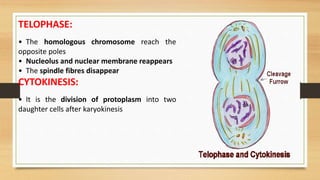 CELL CYCLE , MITOSIS ,MEIOSIS AND CELL REGULATION | PPTX