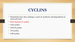 CELL CYCLE , MITOSIS ,MEIOSIS AND CELL REGULATION | PPTX
