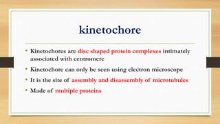 CELL CYCLE , MITOSIS ,MEIOSIS AND CELL REGULATION | PPTX