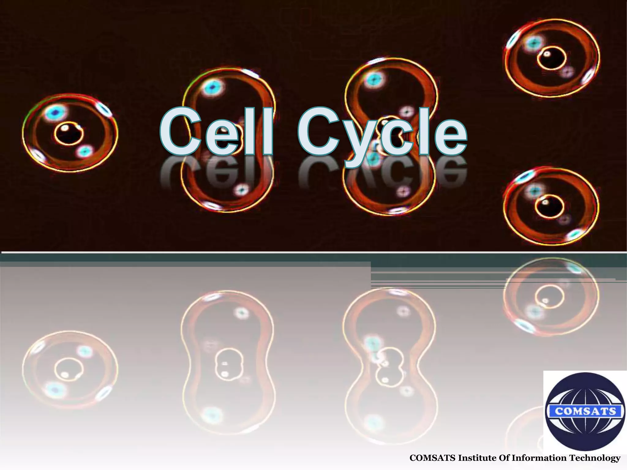 Cell cycle | PPTX