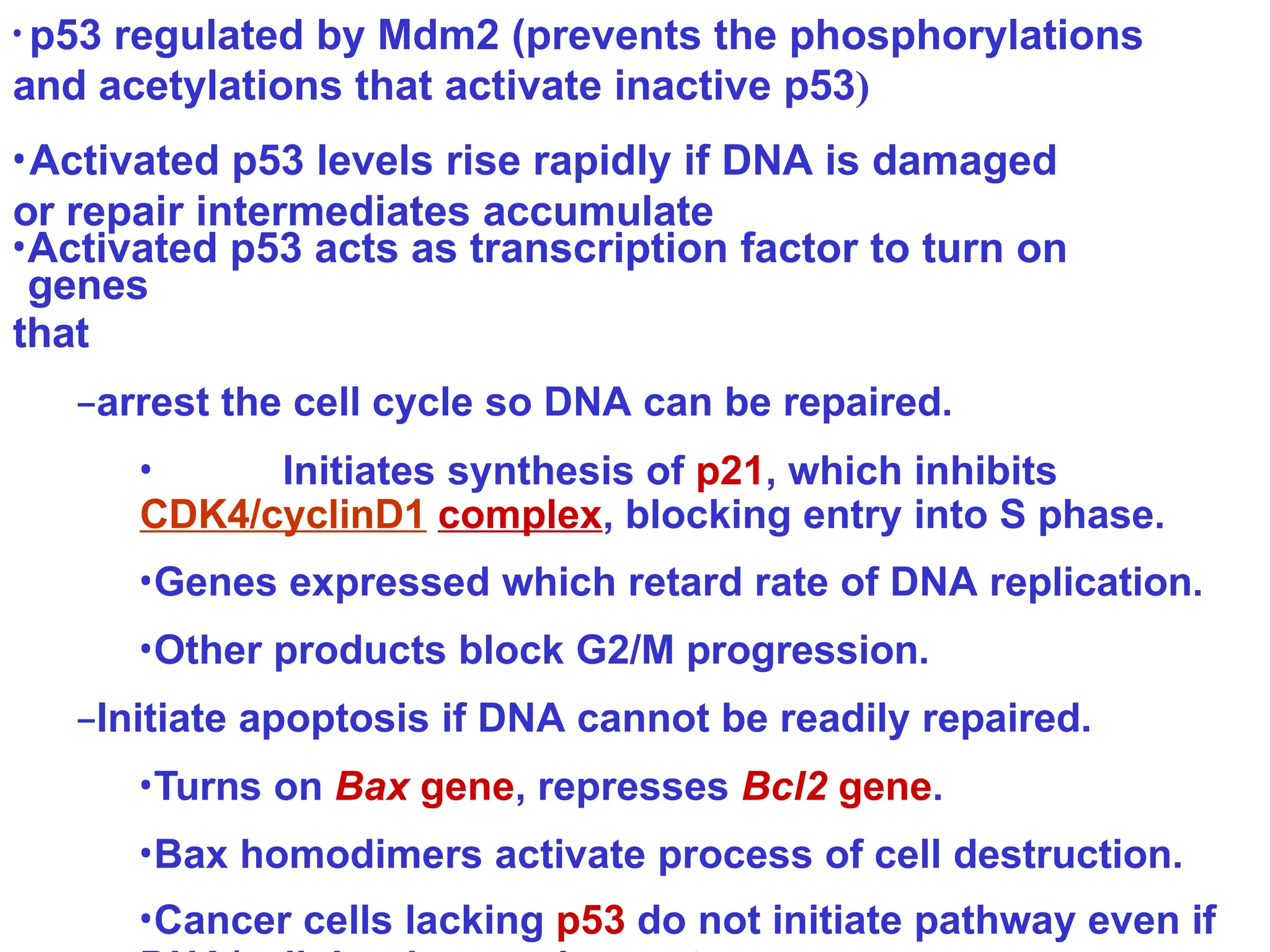 Cell Cycle, Cell cycle Check Points, Cell cycle regulation and Tumor ...