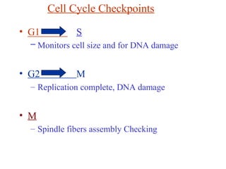 Cell Cycle, Cell cycle Check Points, Cell cycle regulation and Tumor ...