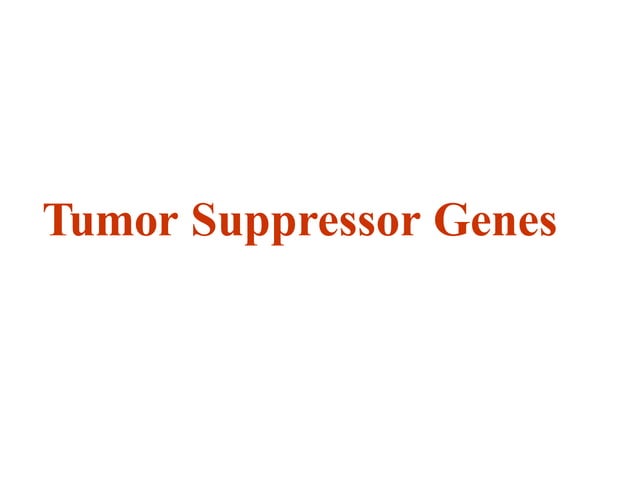 Cell Cycle, Cell cycle Check Points, Cell cycle regulation and Tumor ...