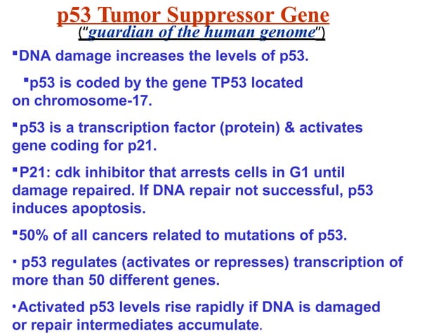 Cell Cycle, Cell cycle Check Points, Cell cycle regulation and Tumor ...