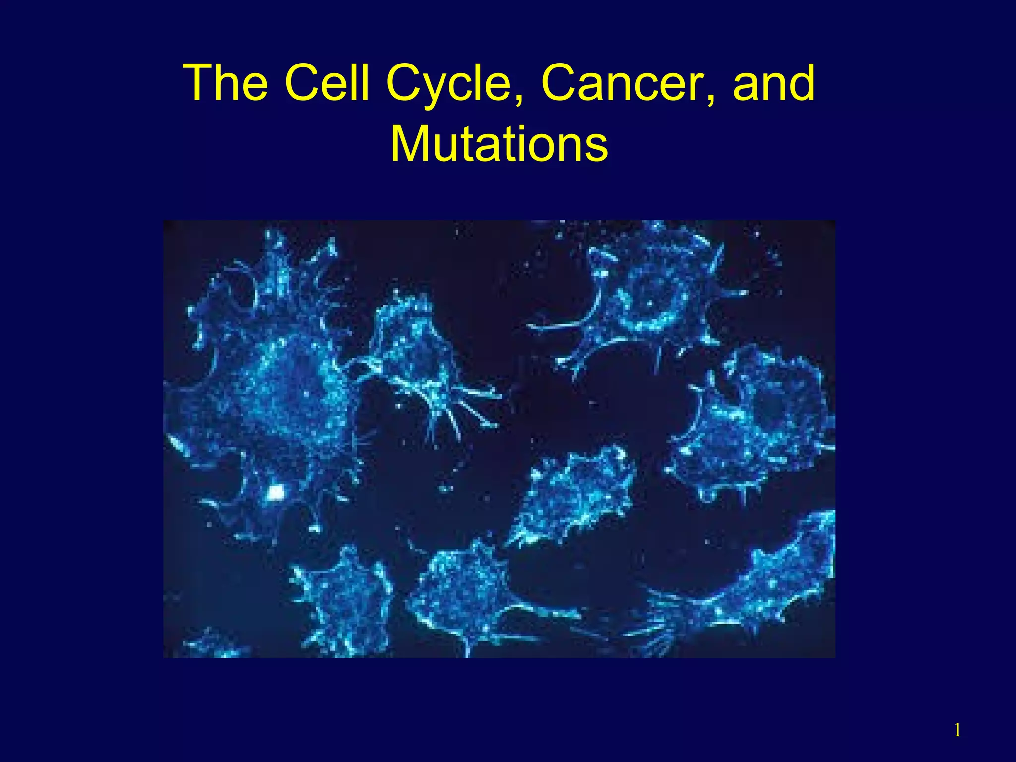 The Cell Cycle and Cancer | PPT